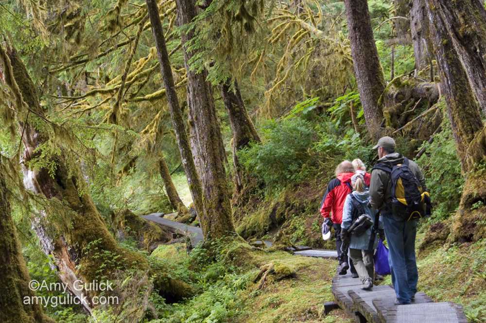 The forest within: Finding wisdom in the woods | Alaska Wilderness League