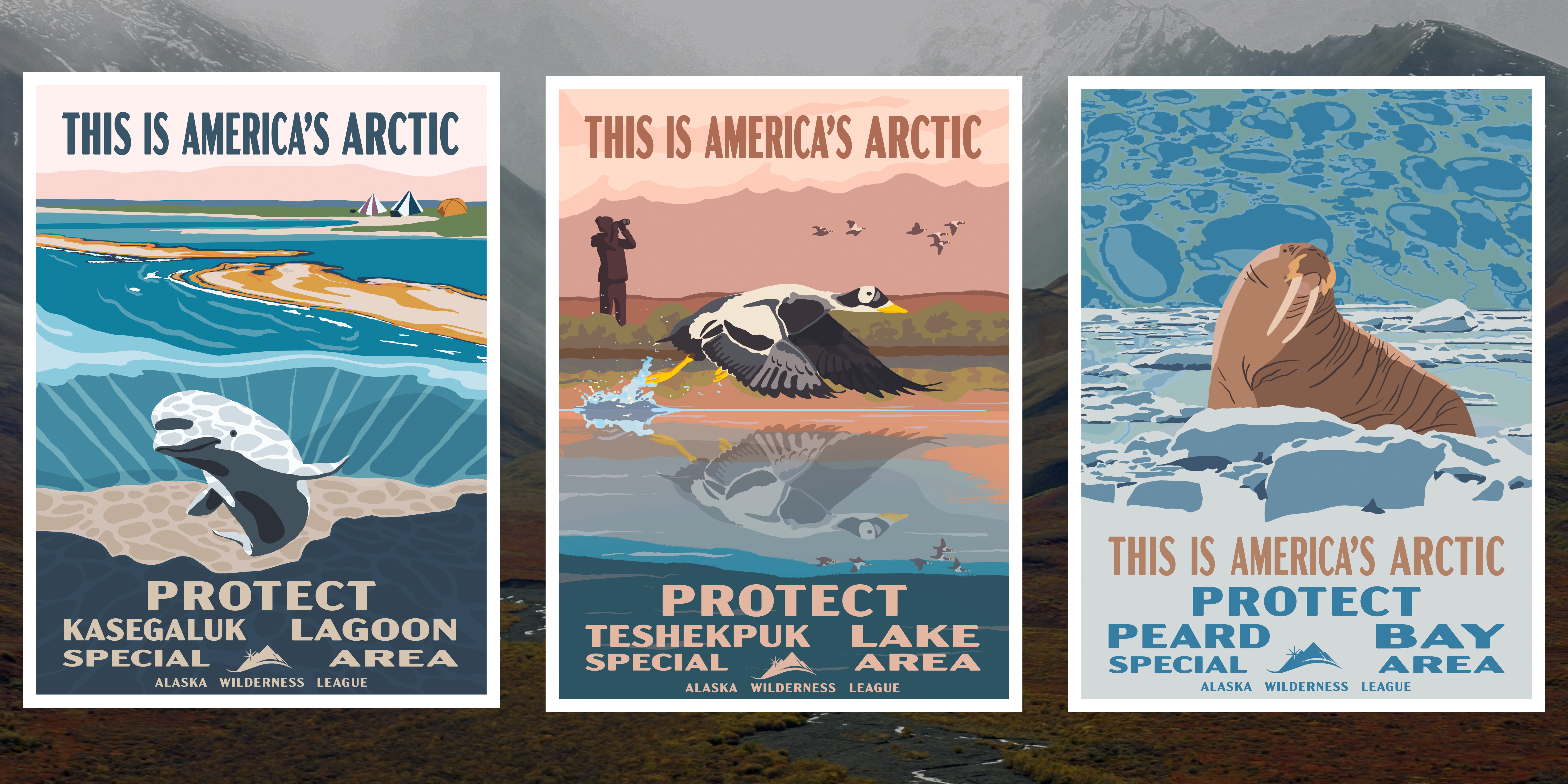 Championing the Western Arctic: A Landmark Conservation Milestone for ...