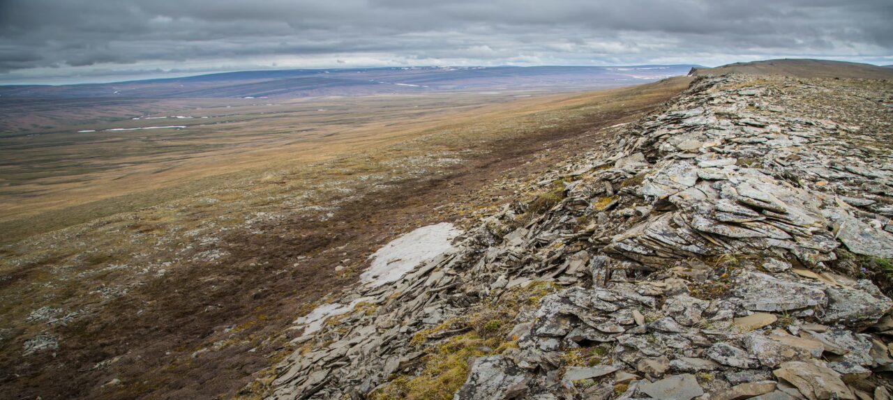 Western Arctic (National Petroleum Reserve) - Alaska Wilderness League